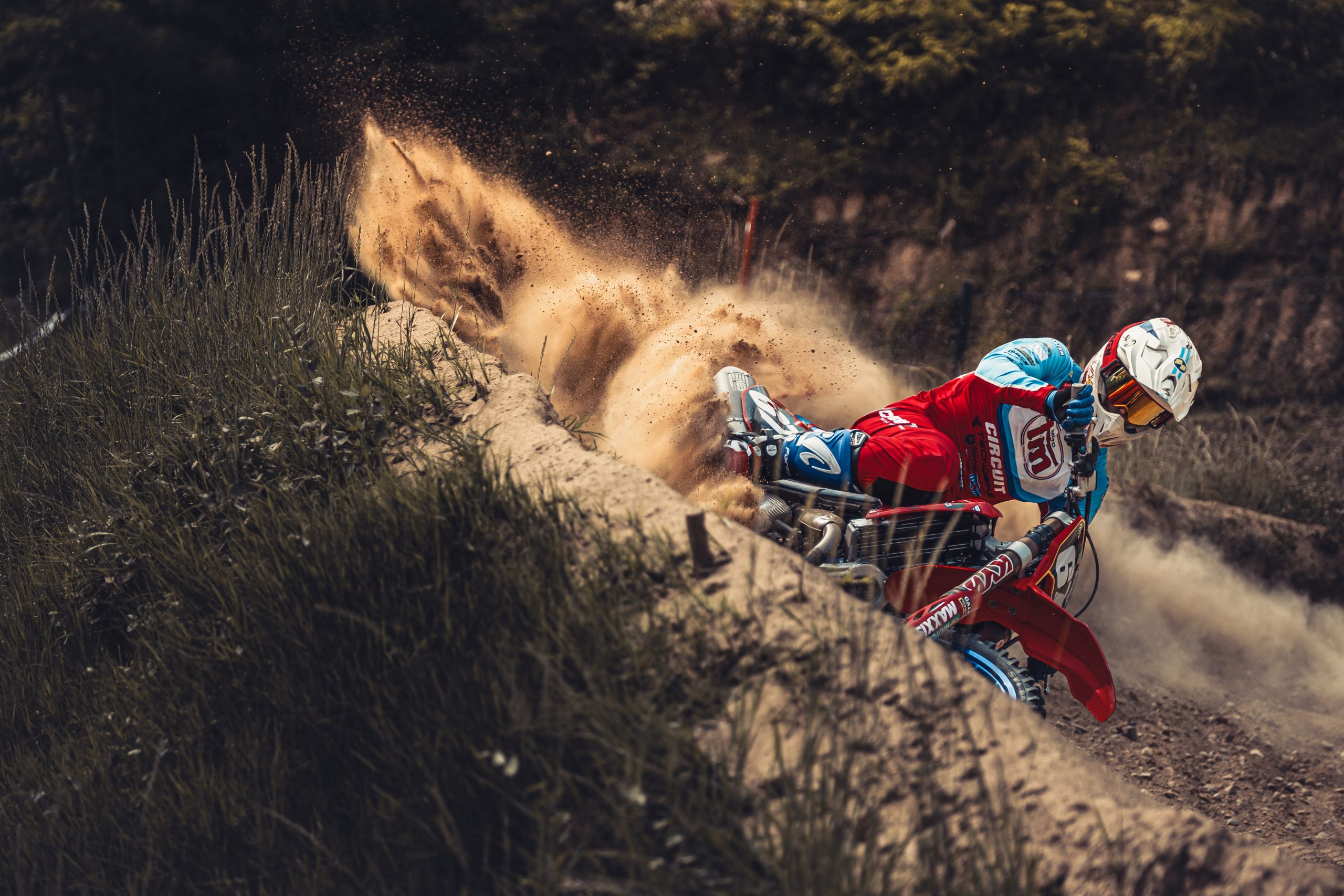 TM DREAM LIMITED EDITION - MXReport